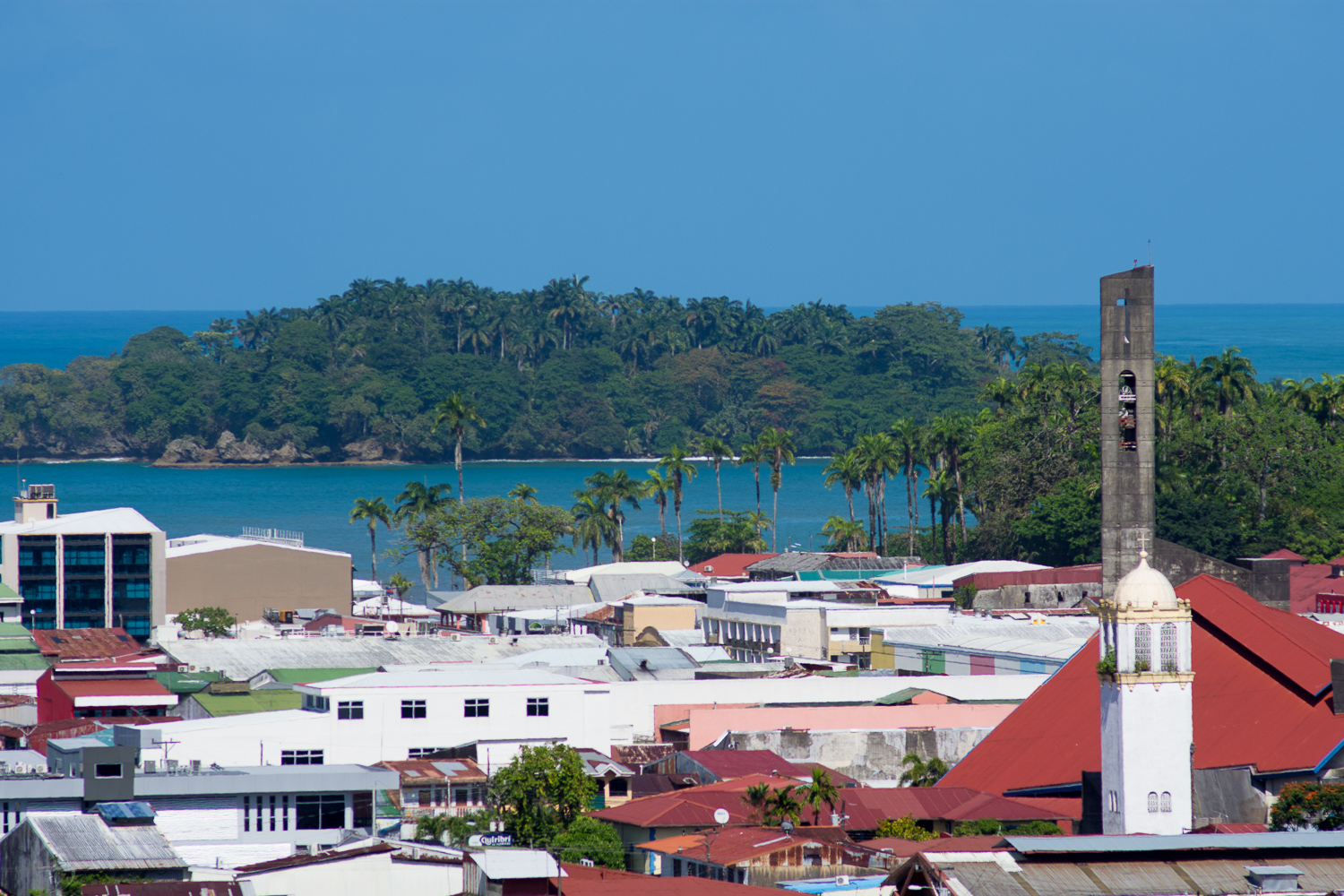 Limón en tres platos: la historia detrás del sabor limonense – Punto y ...