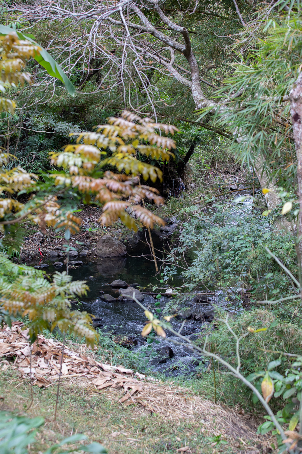 Los ríos ‘son excelentes barómetros’: una conversación con el fundador ...