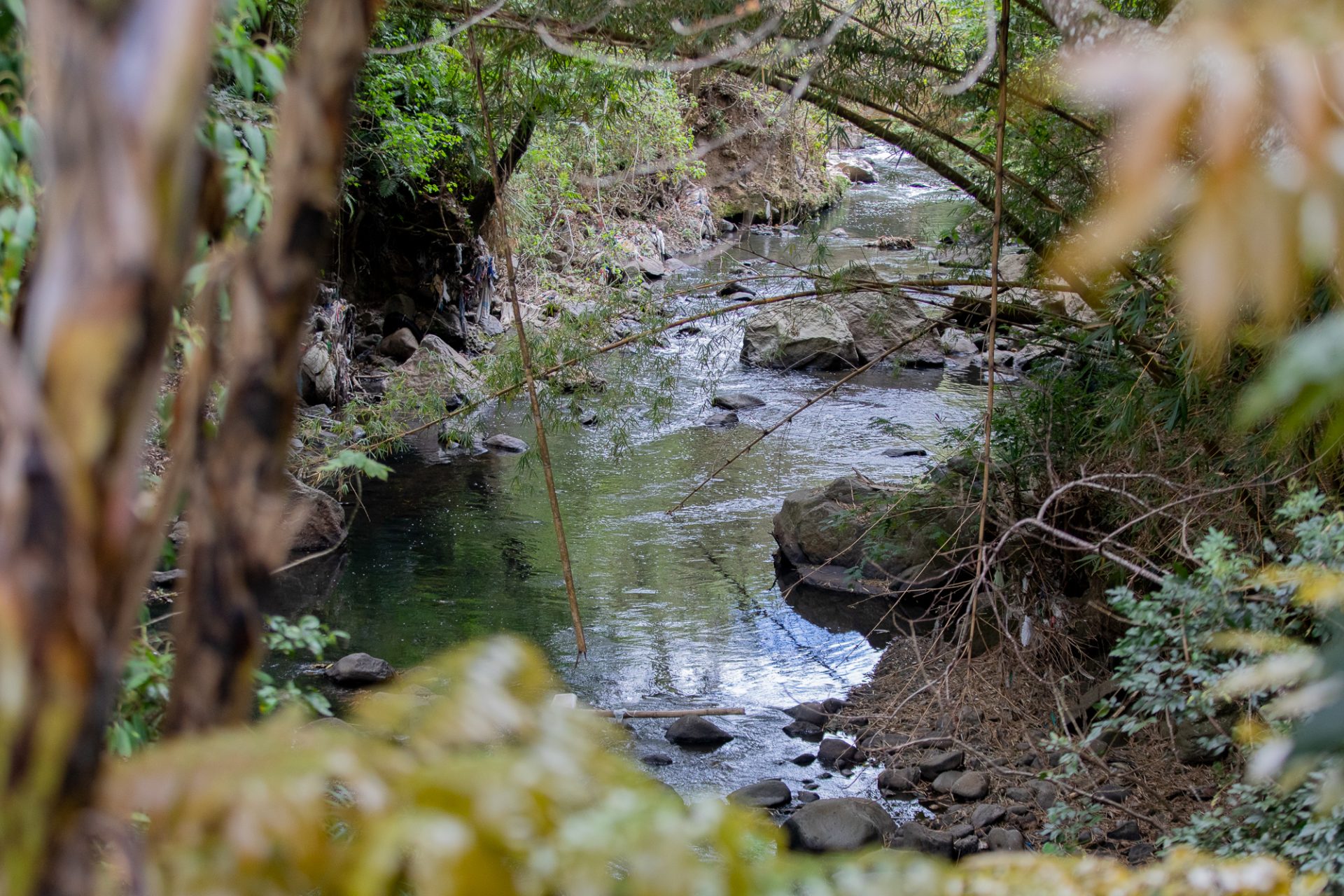 Los ríos urbanos de Costa Rica: un paraíso casi perdido que podemos ...